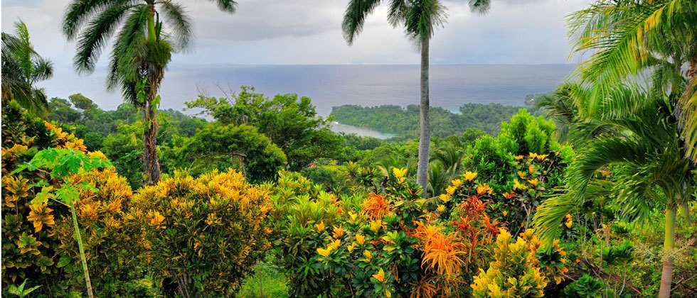 Latest Press Releases and News | Island Outpost